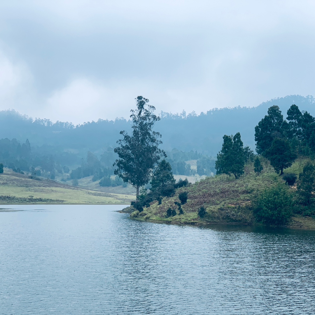 Kodaikanal - YatraSakhi